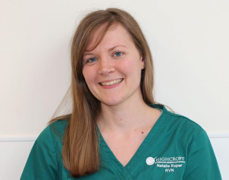 Referral nurse awarded prestigious VTS Certificate in Neurology - CVS ...